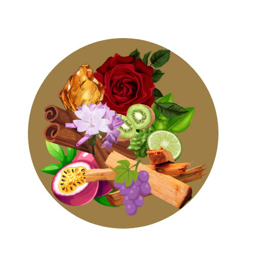 What Are the Notes in Perfume? Understanding Top, Middle, and Base Not ...