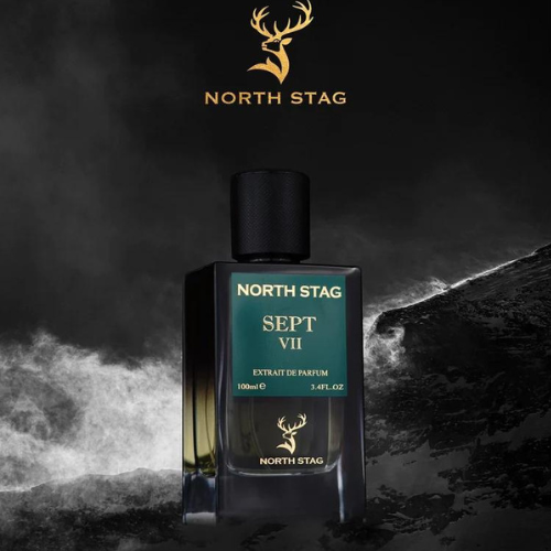 What Are Perfume Notes? Top, Middle & Base Notes Explained – Aroma Concepts