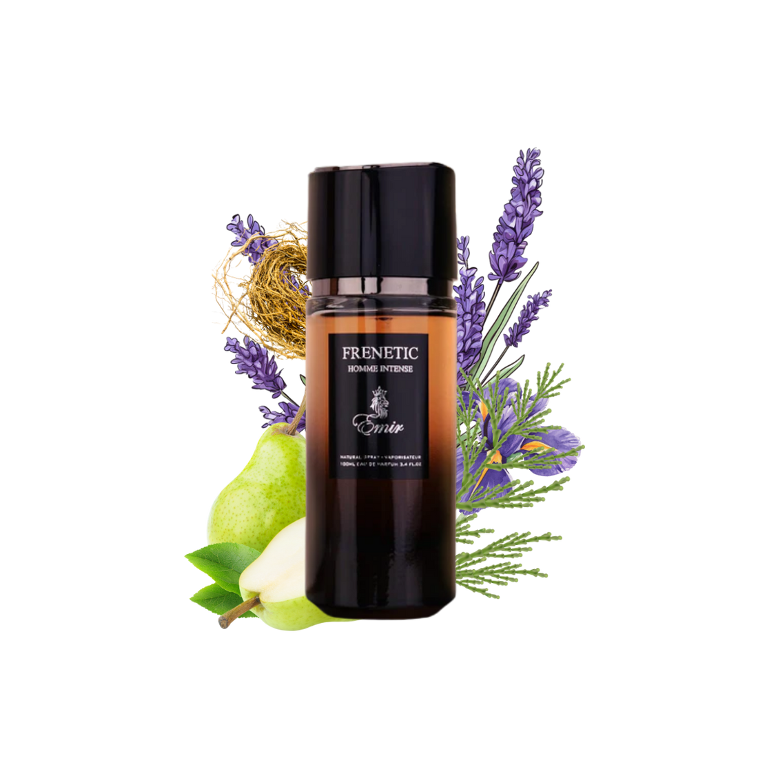 100ml FRENETIC HOMME INTENSE Fragrance For Men | ParisCornerPerfumes ...