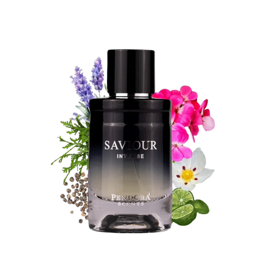 Buy SAVIOUR INTENSE - PENDORA SCENTS For Men & Women – Aroma Concepts